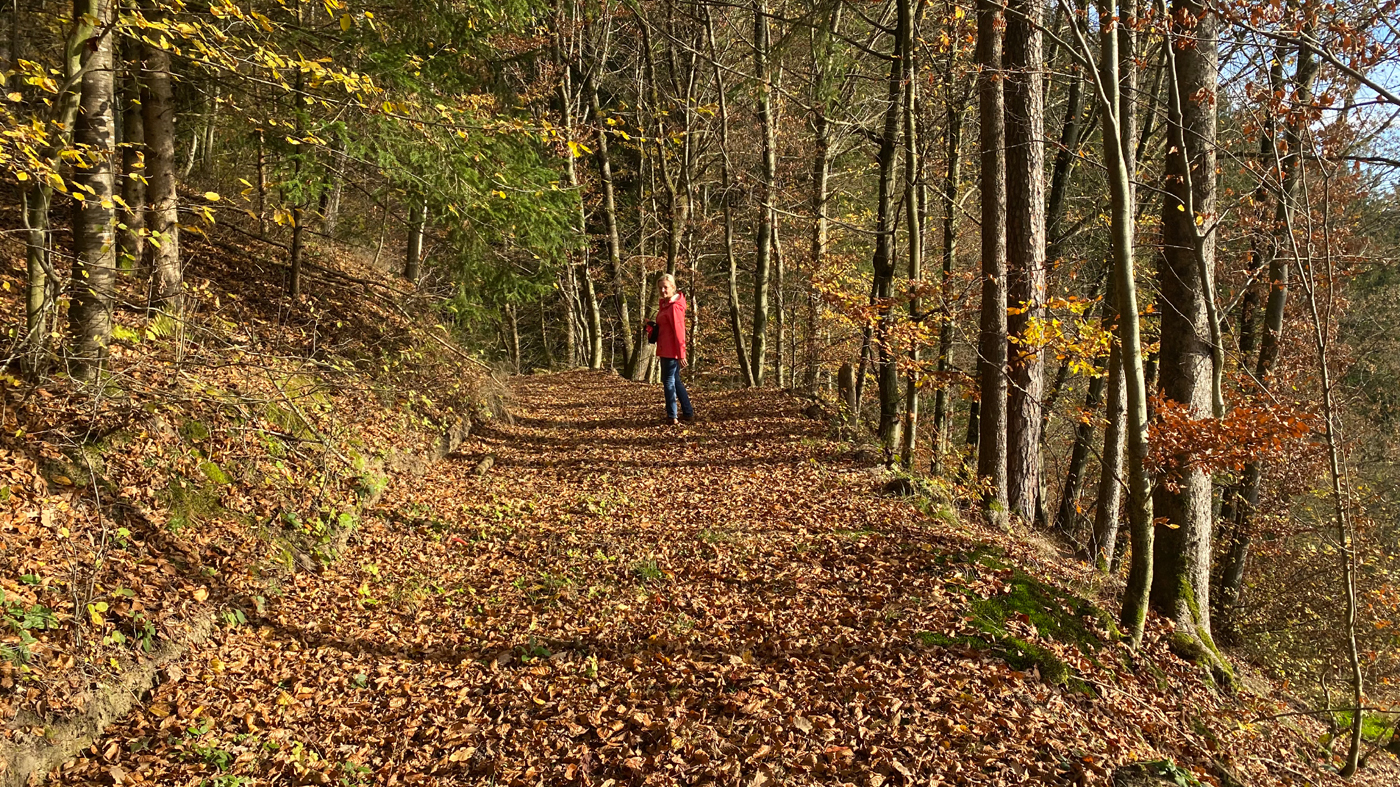 Ein Spaziergang und viele Fragen - Kleine Geschichten